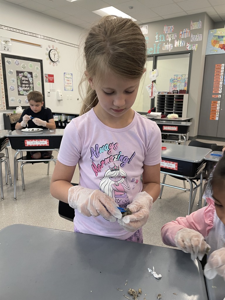 Live Feed | School District of Eleva-Strum